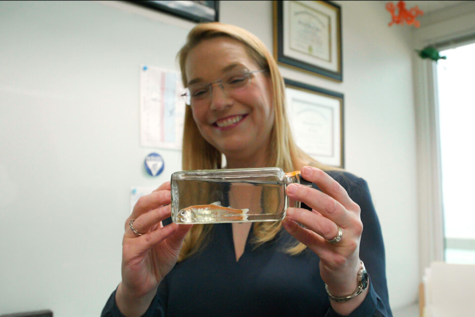 Expanding the definition of STEM careers through MBARI stories — MBARI ...