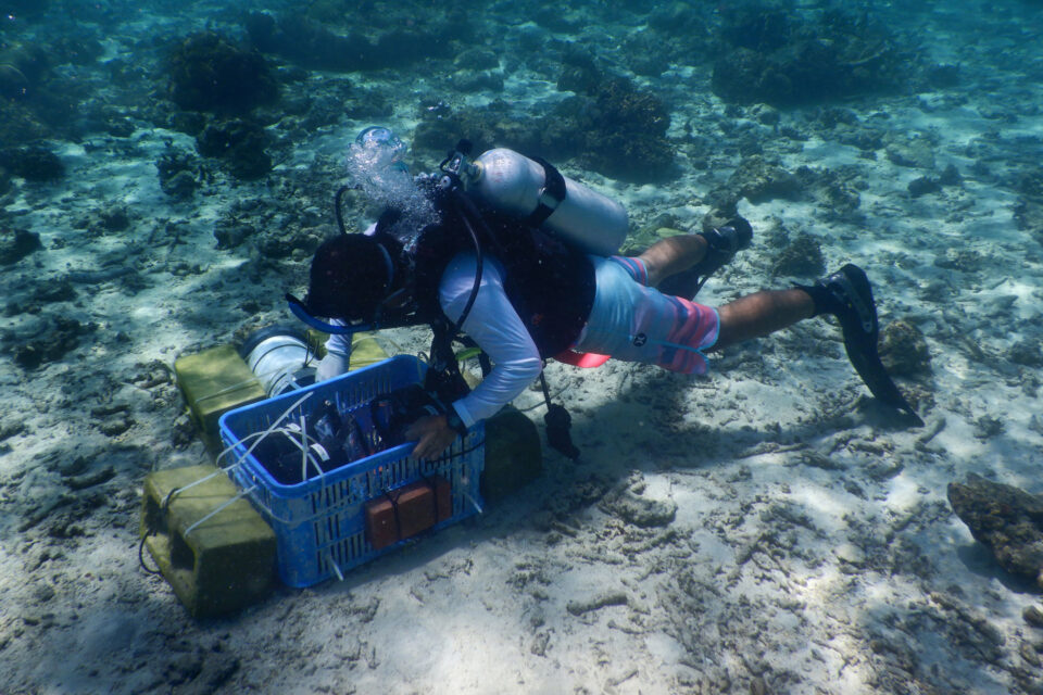 Measuring the impact of climate change on coral reefs — MBARI Annual ...